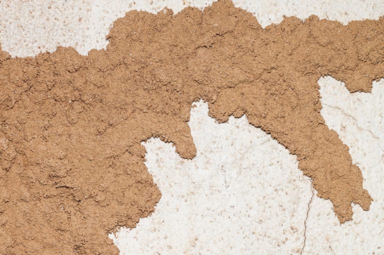 Signs of Termites in Drywall and How to Repair It Effectively